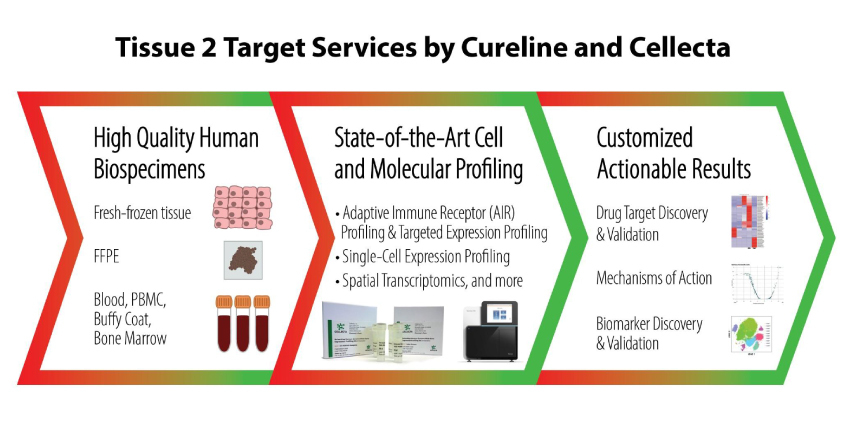 THE CURELINE GROUP and CELLECTA, Inc Partner to Launch Tissue 2 Target ...